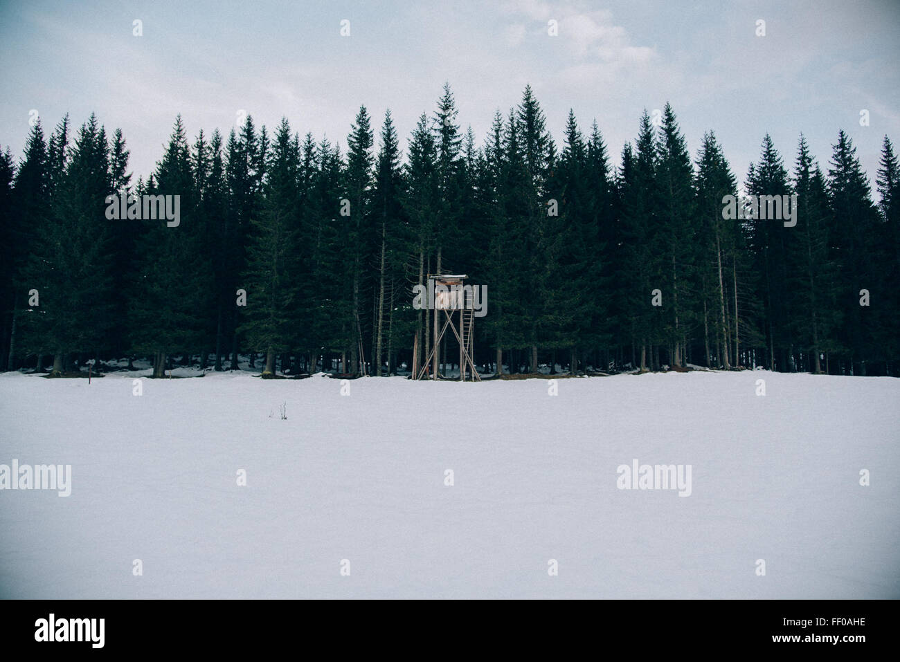 A wood outpost located on the edge of an icy forest, surrounded by snow ...