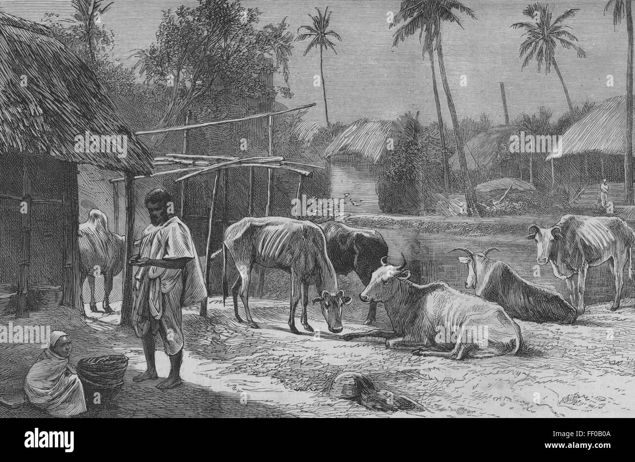 Bengal famine hi-res stock photography and images - Alamy