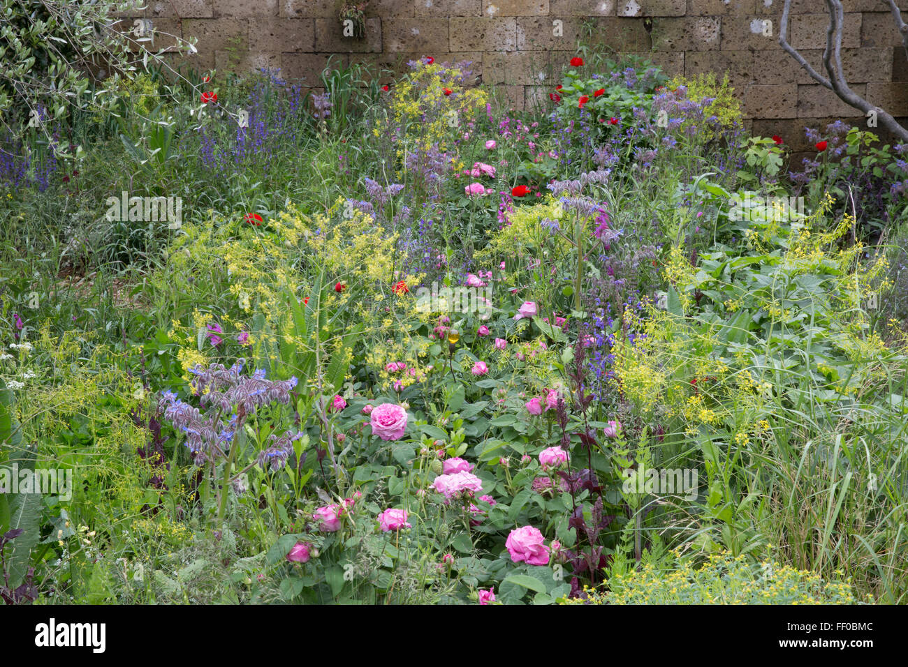 Chelsea flower show 2015 london UK Stock Photo - Alamy