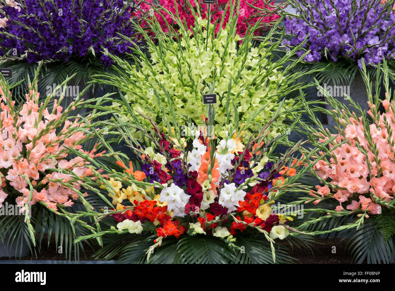 Chelsea flower show hi-res stock photography and images - Alamy