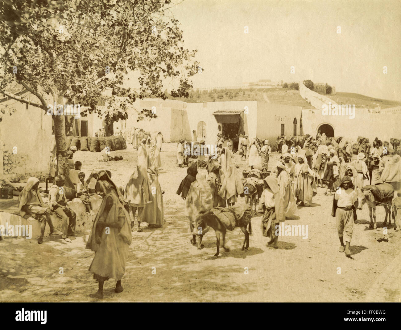 Donkeys in egypt hi-res stock photography and images - Alamy