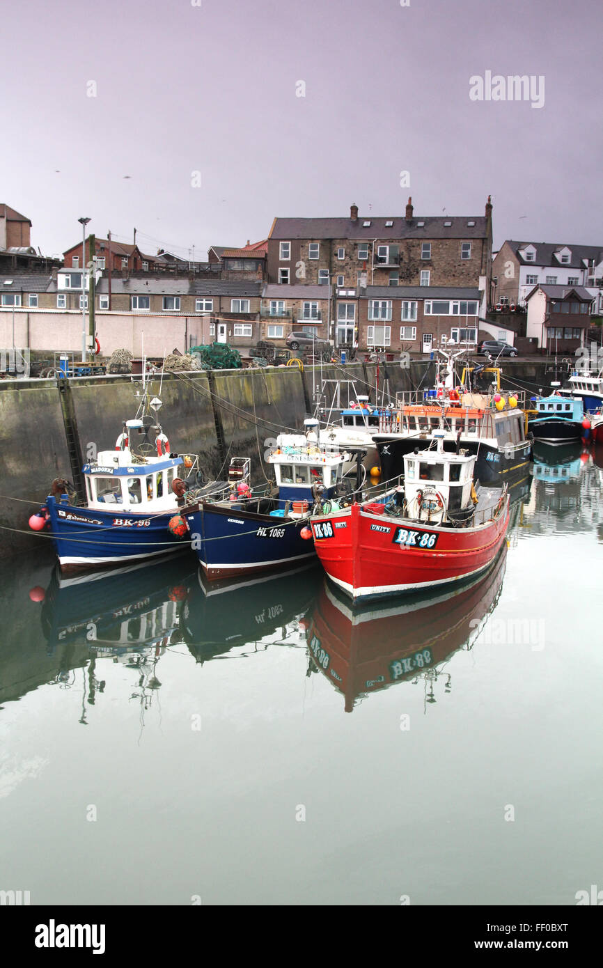boats in Seahouses Harbour, Northumberland Stock Photo - Alamy