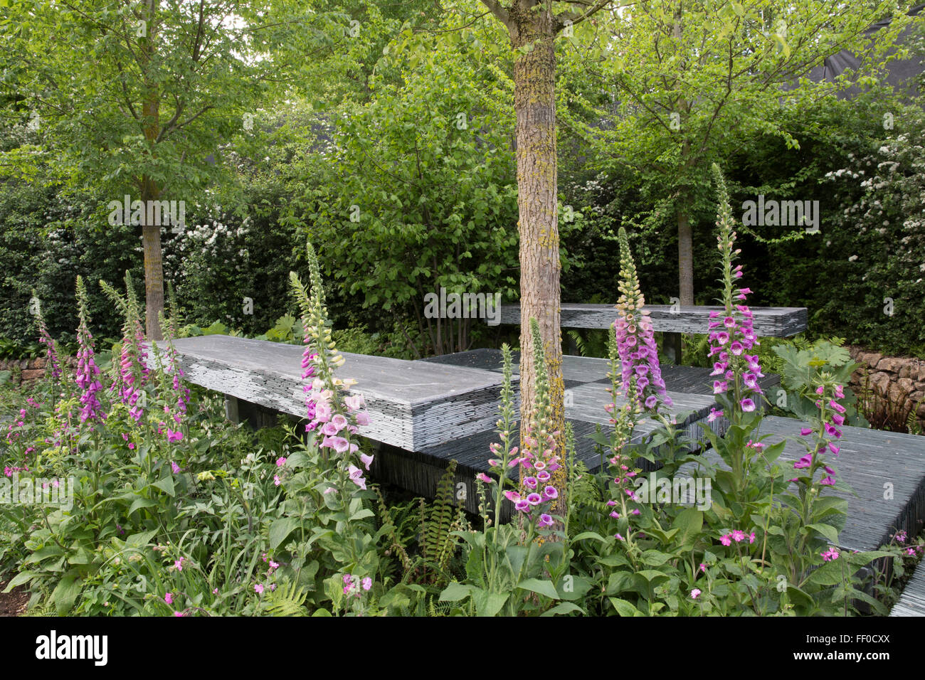 Chelsea flower show garden London 2015 RHS Stock Photo - Alamy