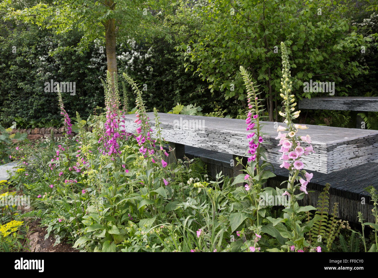 Border borders hi-res stock photography and images - Alamy