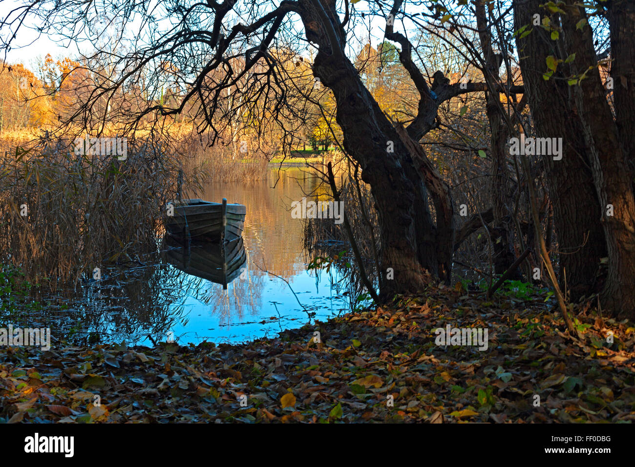 Row sequence tree hi-res stock photography and images - Alamy