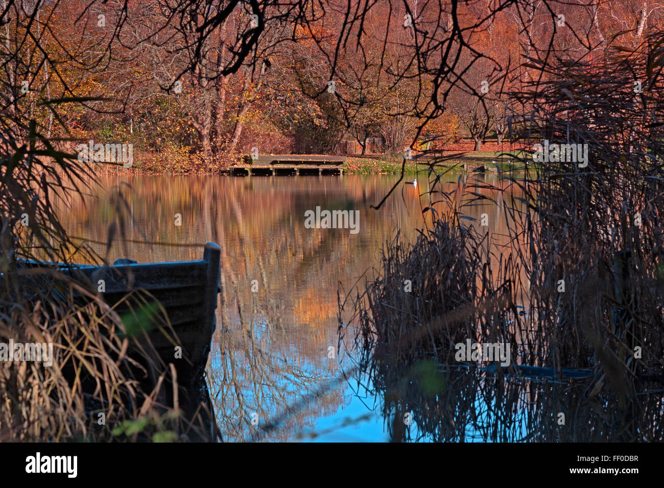 Row sequence tree hi-res stock photography and images - Alamy
