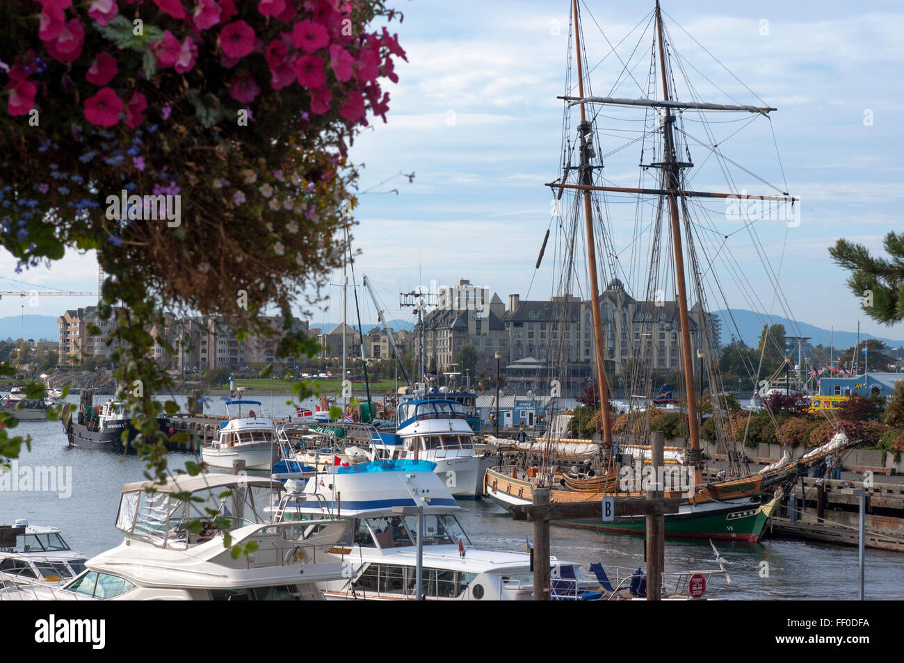 Boat in Victoria Harbor, BC Canada Stock Photo - Alamy