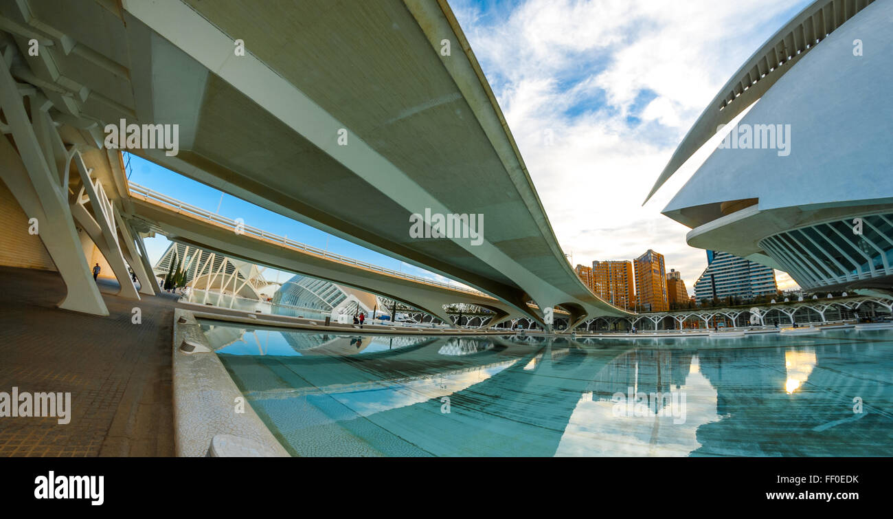 7 November, 2013, Valencia, Spain. The Opera house at Palau de les Arts ...