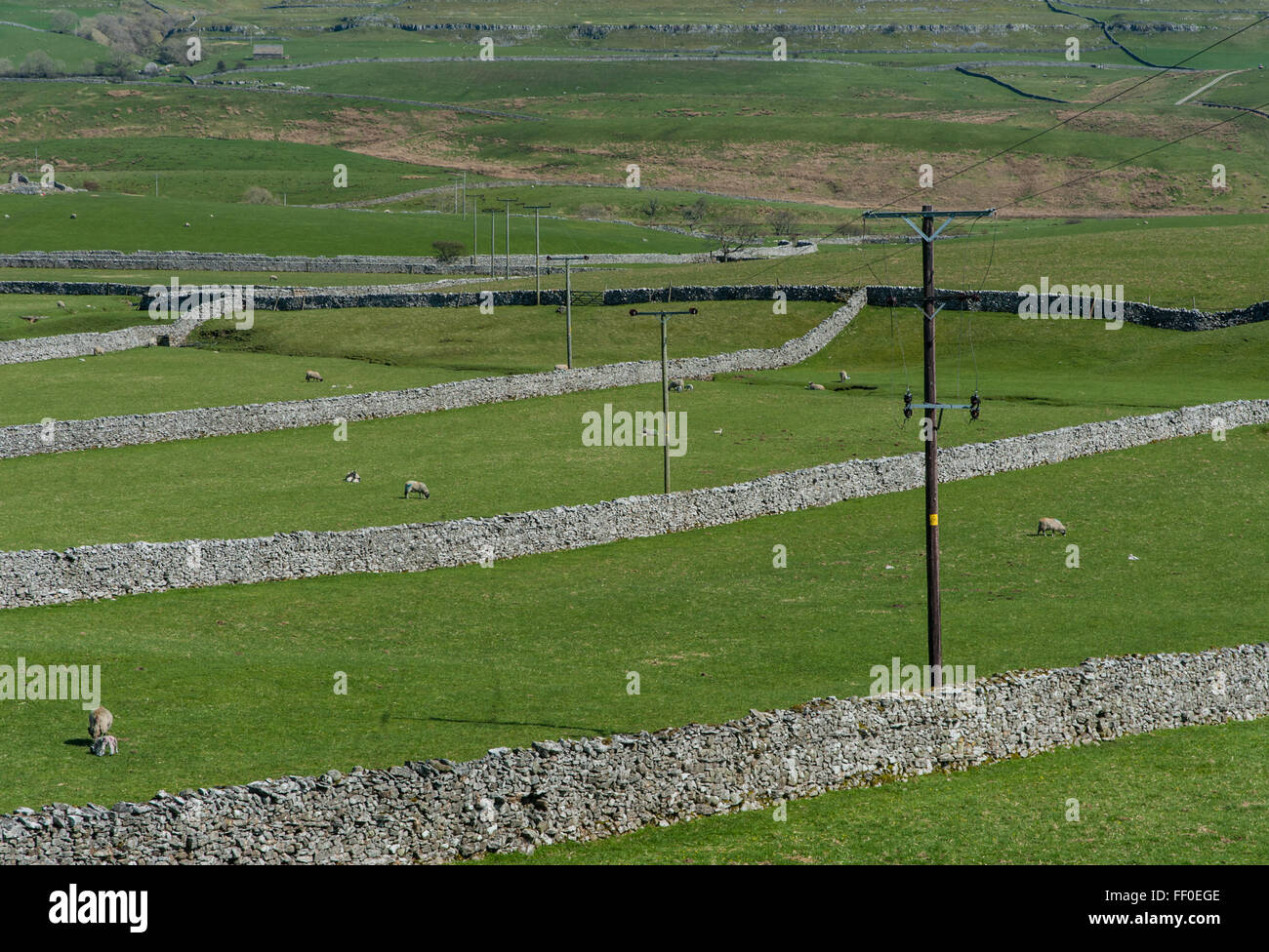 Drystone walls and Telegraph Poles in Ribblesdale Stock Photo - Alamy