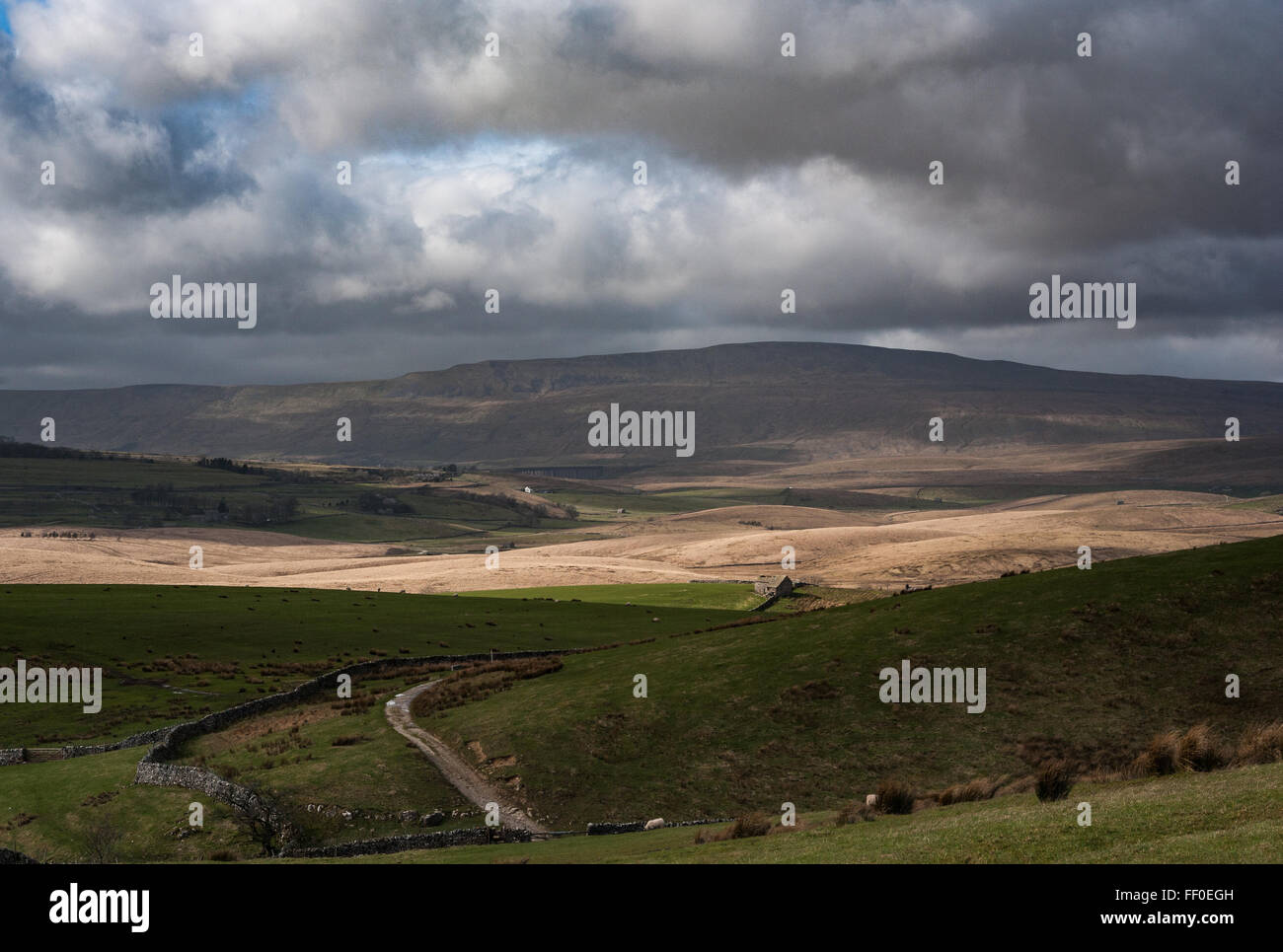 Whernside and Ribblehead from Nether Lodge The Yorkshire Dales Stock ...