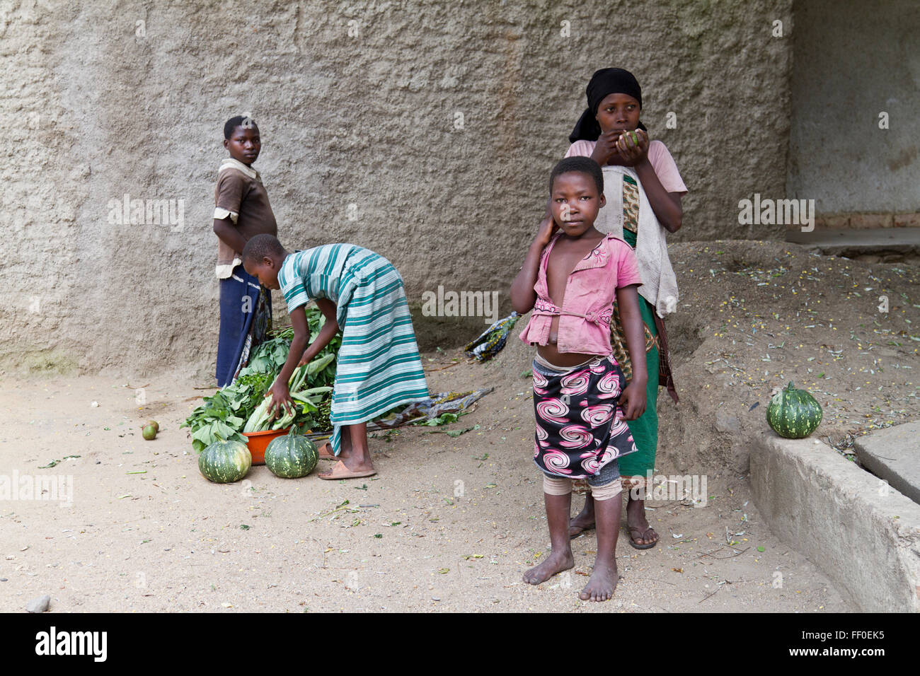 a family of farmers in Kiwanja, Rutshuru, North Kivu, Democratic ...