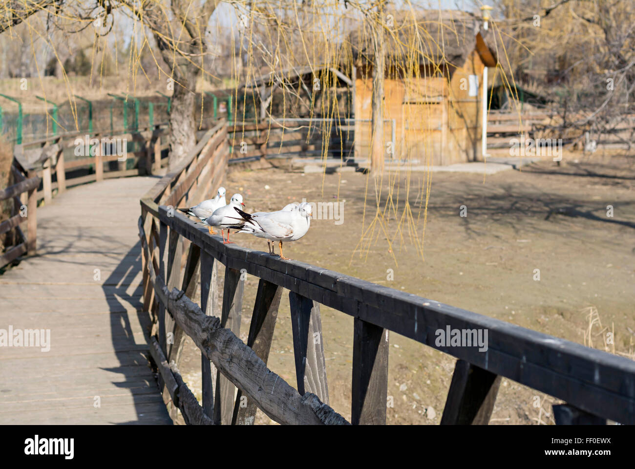 Micro nature reserve of the Natural Science Museum Complex Constanta ...