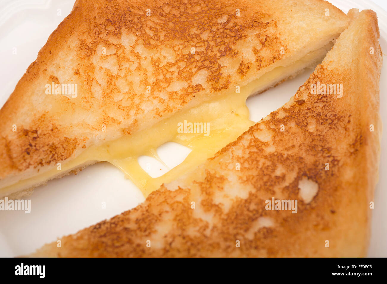 Fried Cheddar Cheese