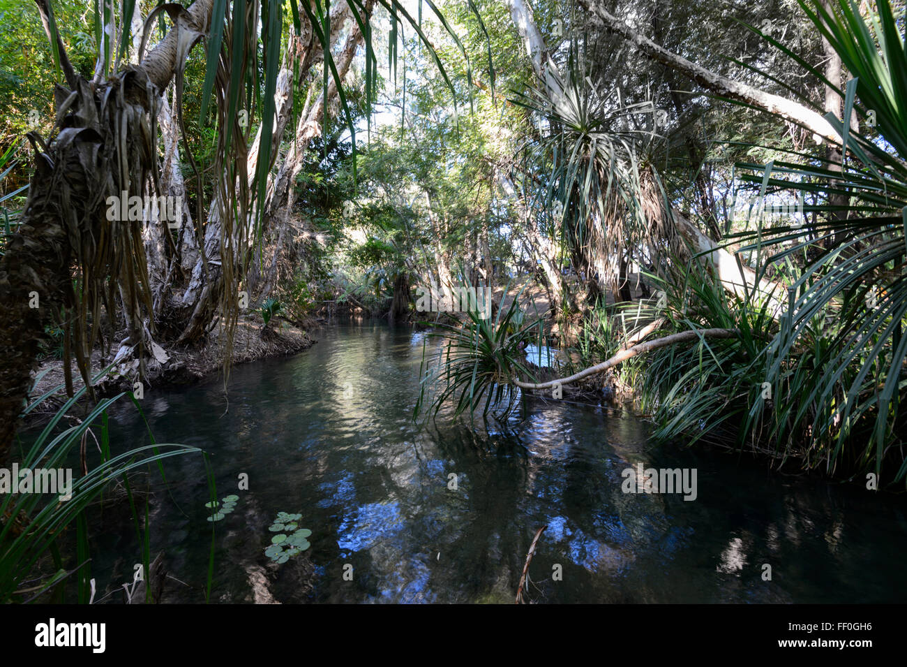 Adels Grove, Lawn Hill, Queensland, Australia Stock Photo - Alamy