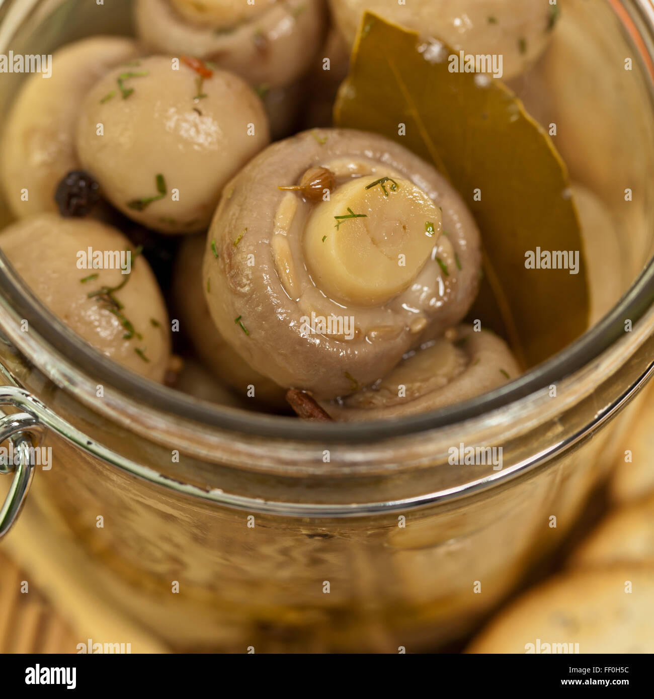 Vegetables champignon pickled mushrooms appetizer hi-res stock ...