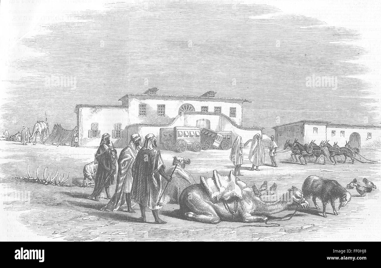 Transport in desert Black and White Stock Photos & Images - Alamy