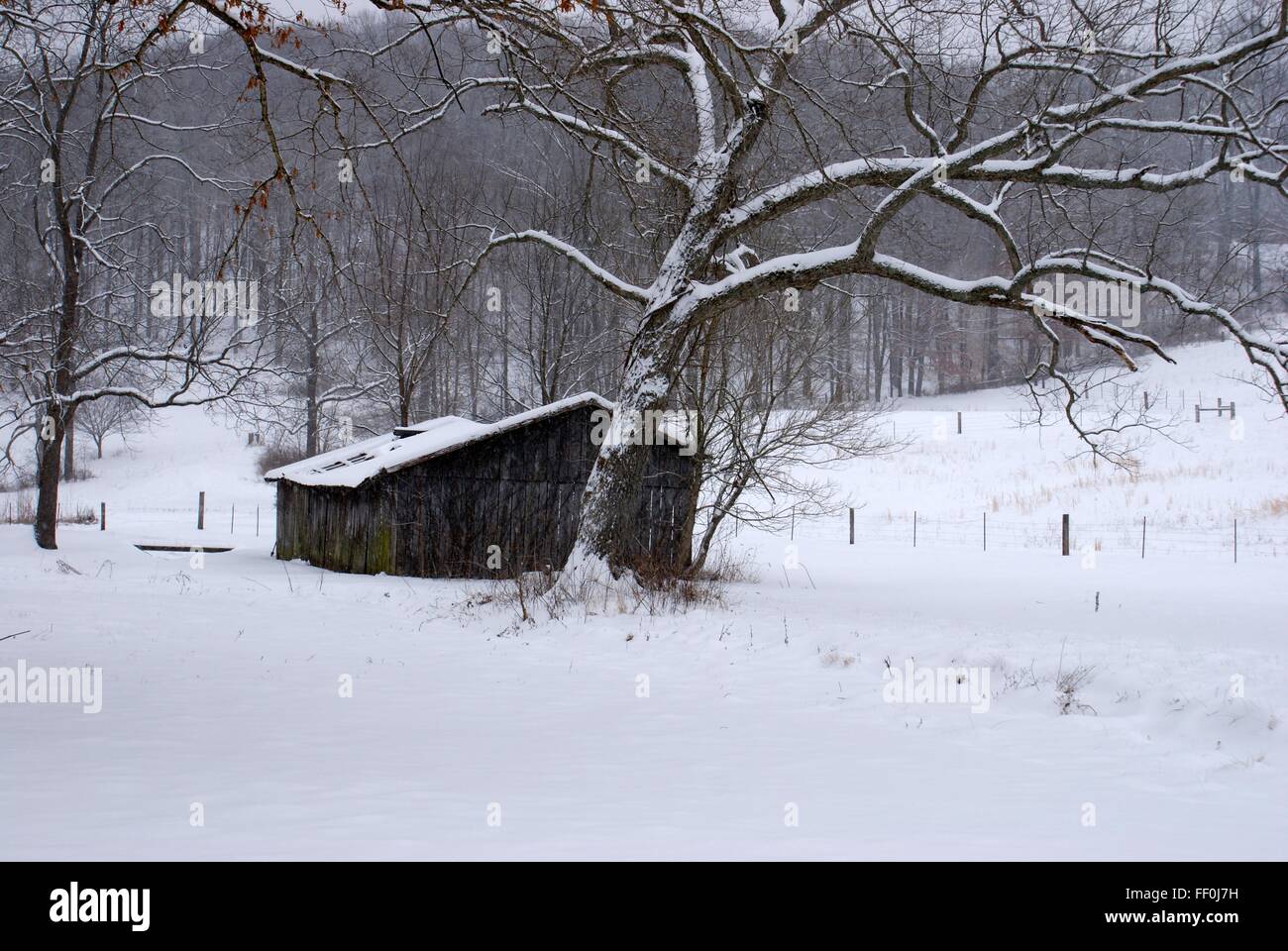 Falling down barns hi-res stock photography and images - Alamy