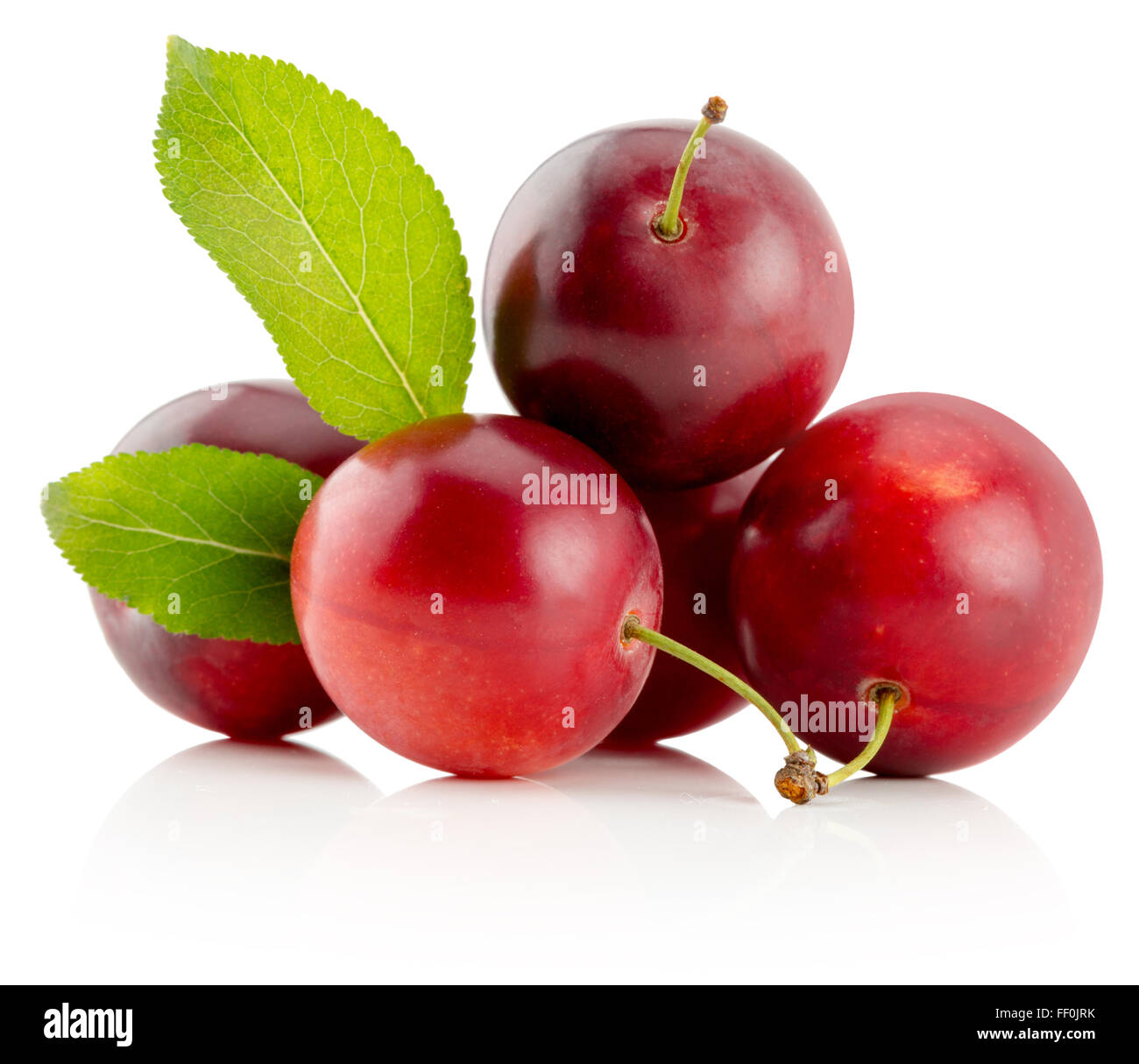 red cherry plums isolated on the white background Stock Photo - Alamy