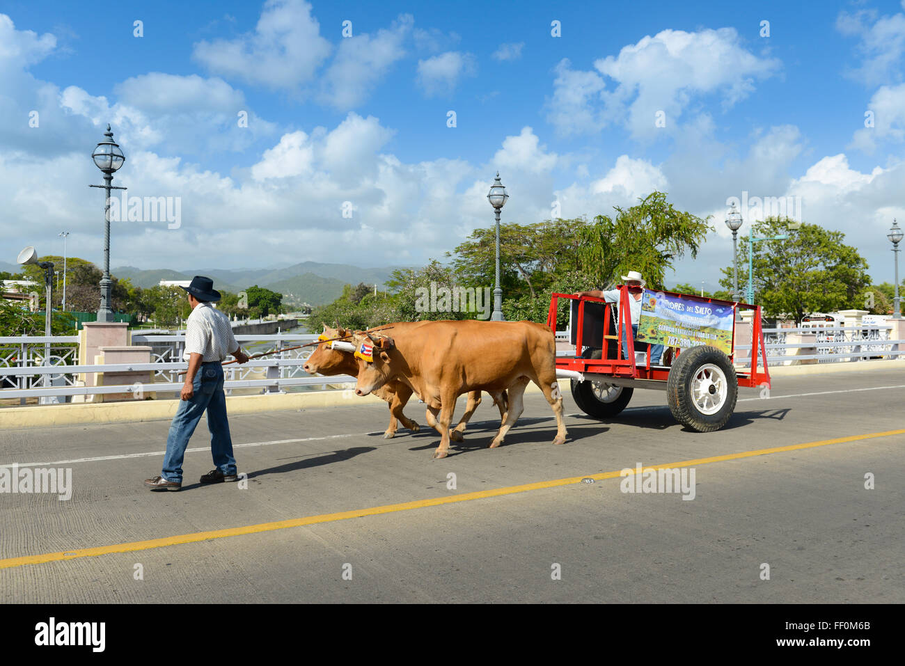 Farmers and livestock parading during carnival in Ponce, Puerto Rico ...