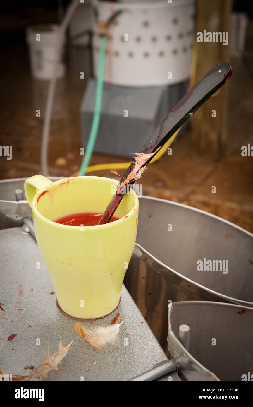 Matt Schwab places chickens into a steel cone that holds the birds and ...