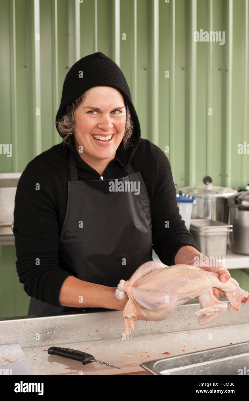 Chicken processing plant hi-res stock photography and images - Alamy