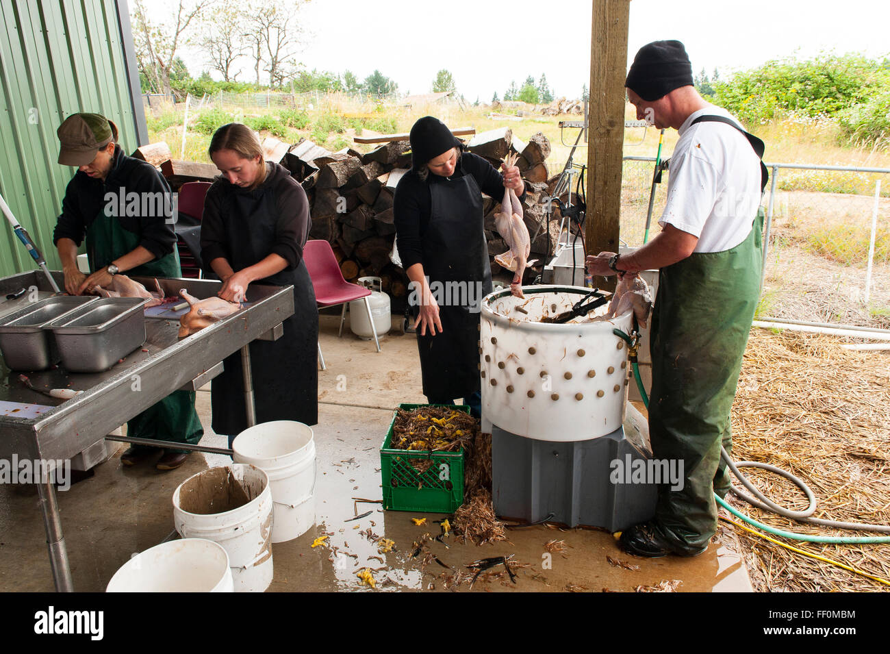 Small family farmers Matt and Jen Schwab operate "Inspiration ...