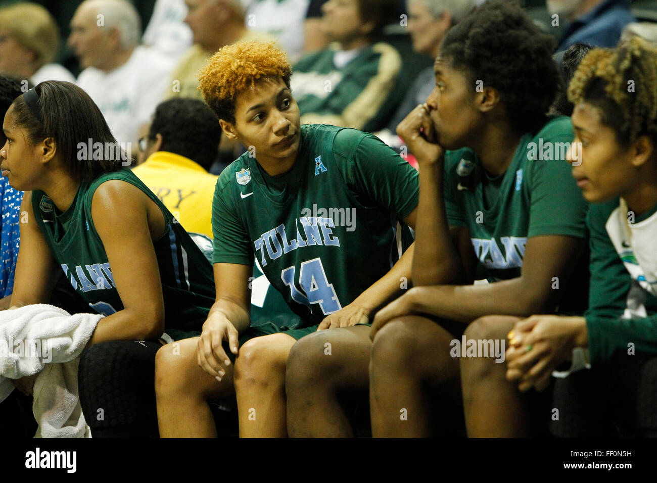 Tampa, Florida, USA. 9th Feb, 2016. WILL VRAGOVIC | Times.Tulane Green ...