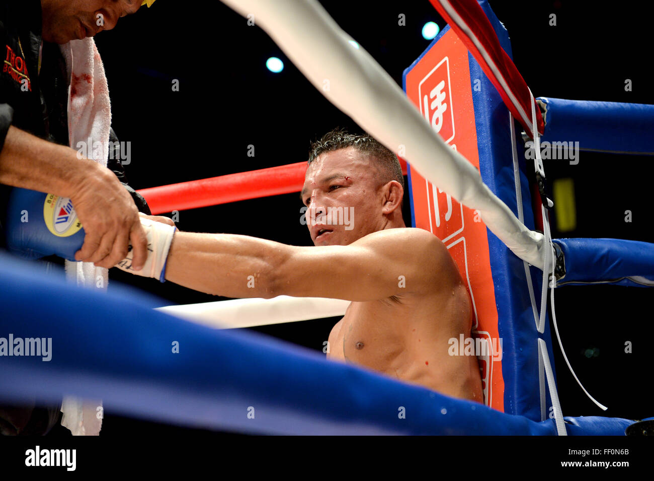 Tokyo, Japan. 31st Dec, 2015. Luis de la Rosa (COL) Boxing : Luis de la ...