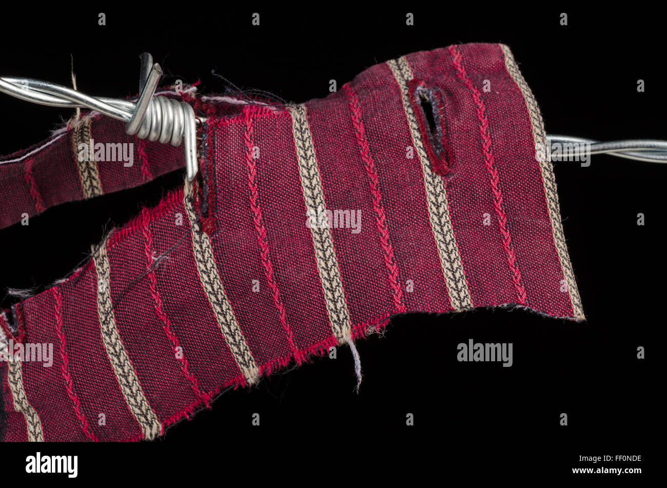 A piece of torn cloth hanging from barbed wire, a concept Stock Photo ...