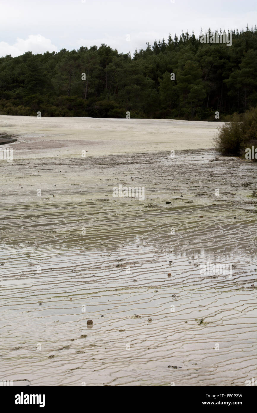 The Primrose Terrace is the largest sinter terrace in New Zealand ...