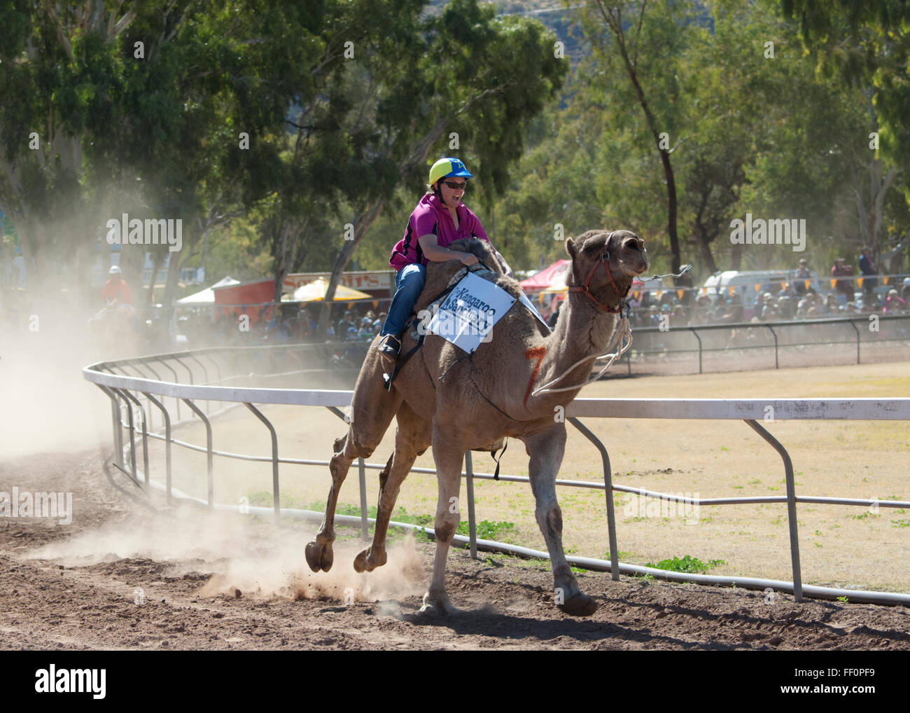 Camel sports hi-res stock photography and images - Alamy