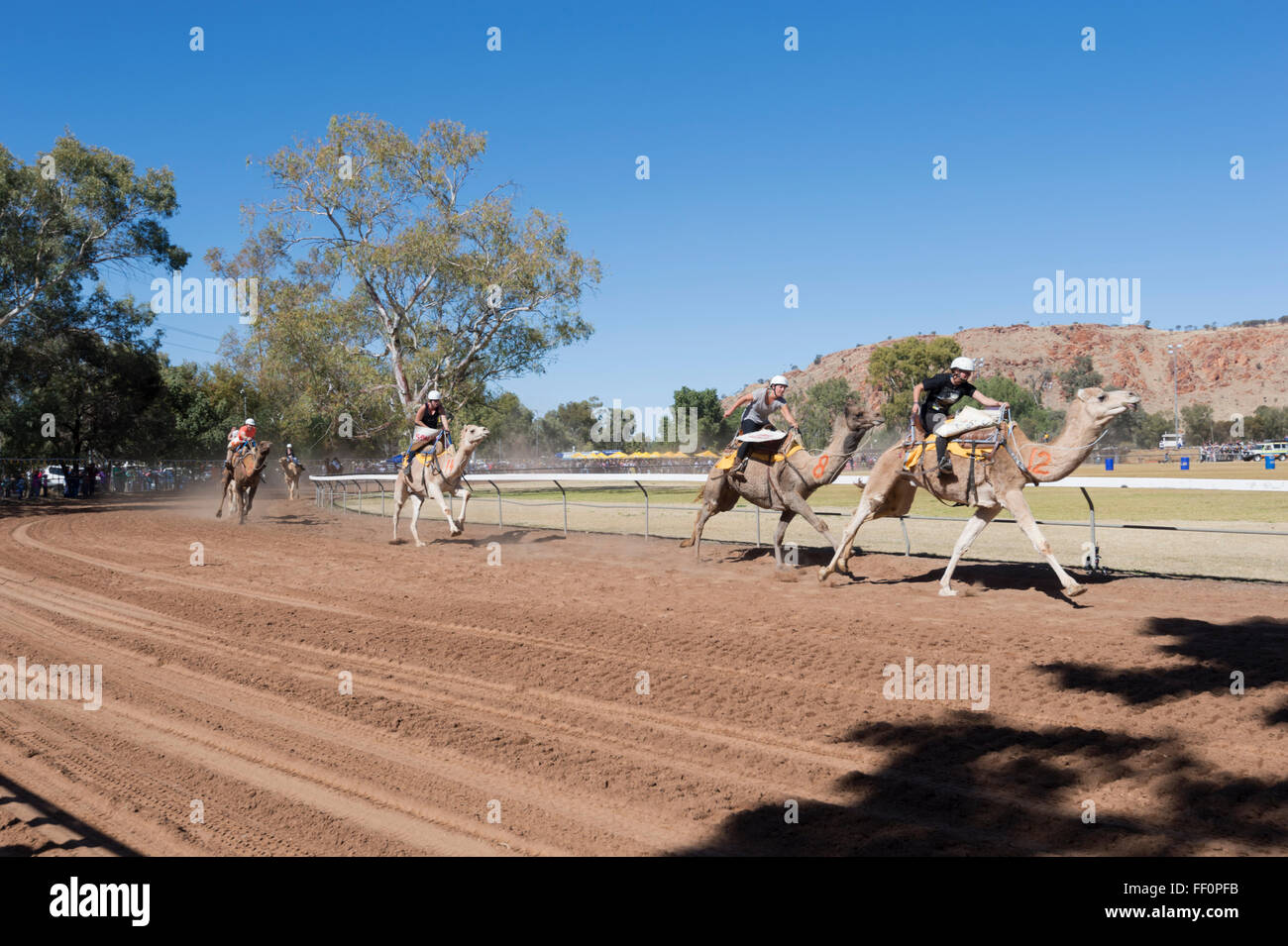 2015 Camel Cup, Alice Springs, Northern Territory, Australia Stock ...