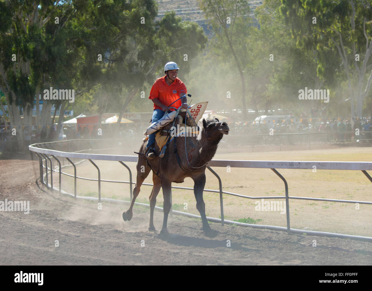 Australian camel cup hi-res stock photography and images - Alamy