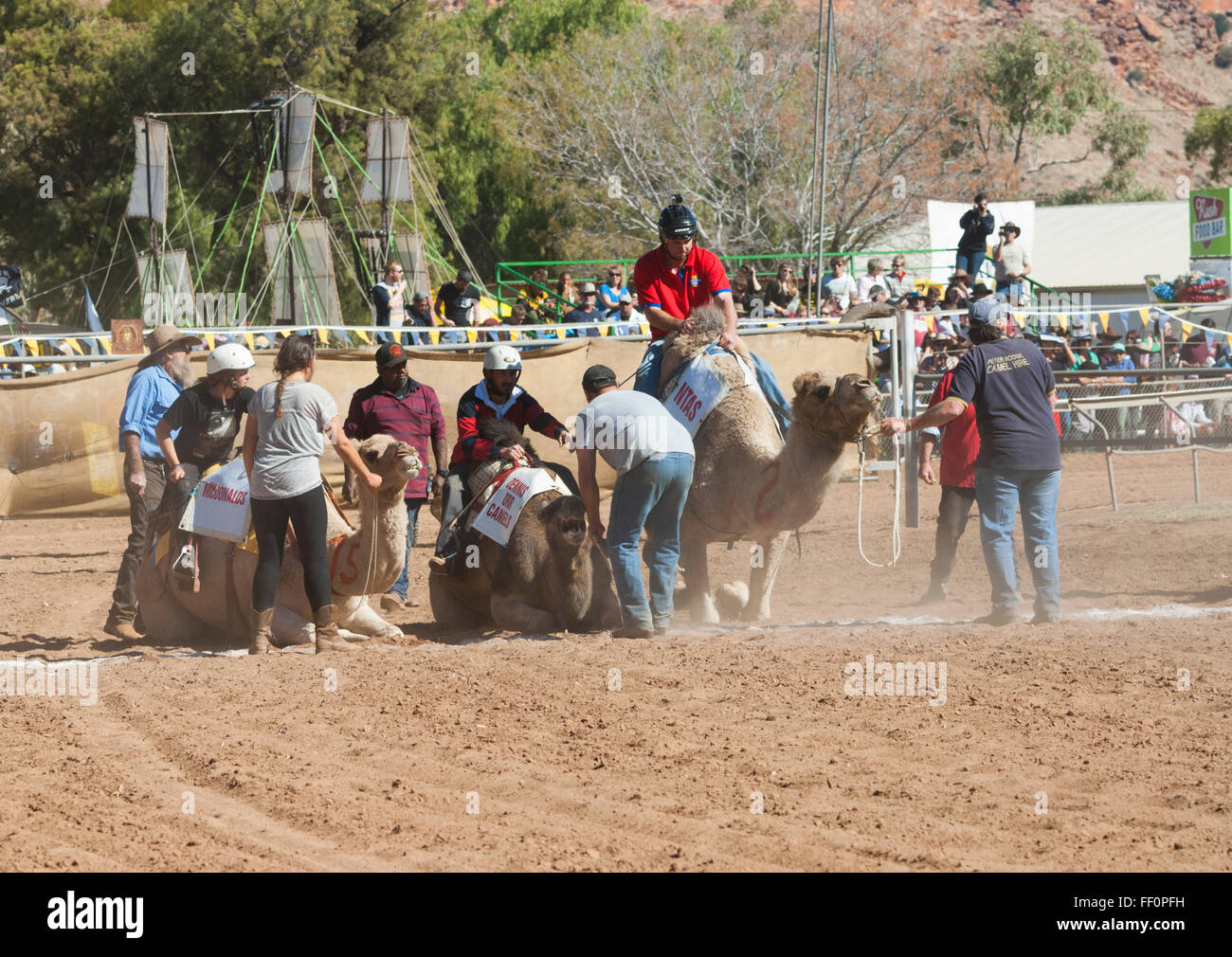 Starting Line, 2015 Camel Cup, Alice Springs, Northern Territory ...