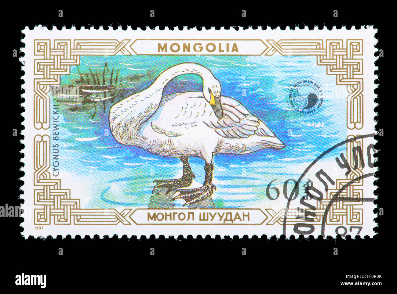 Postage stamp from Mongolia depicting a swan (Cygnus berwickii) in the ...