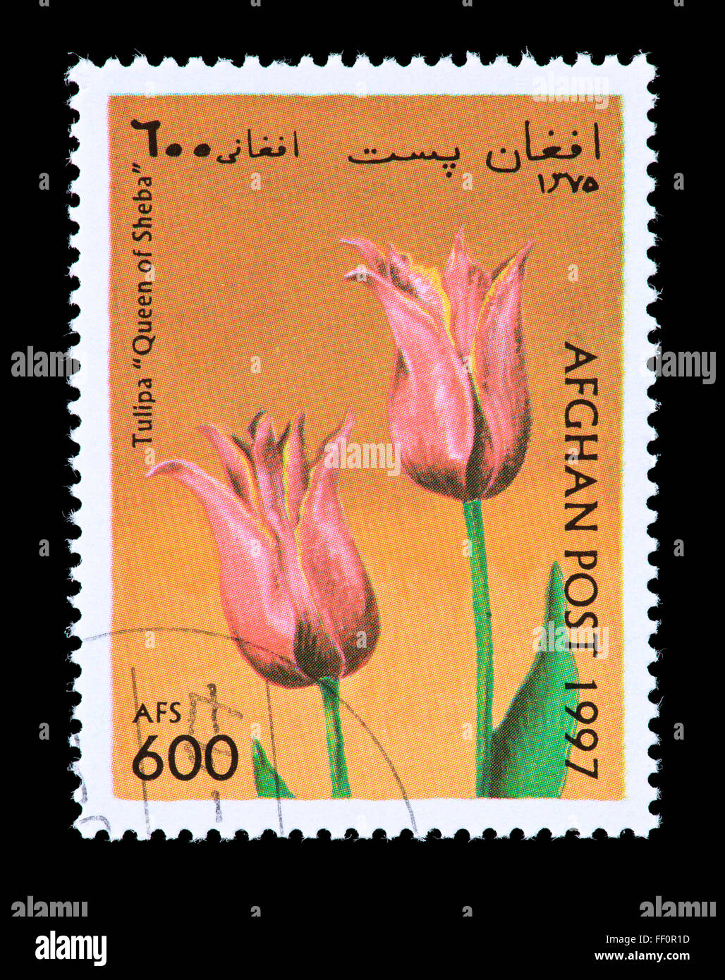 Postage stamp from Afghanistan depicting two tulips, variety "Queen of ...