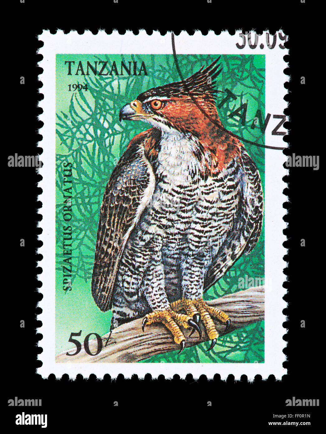 Postage stamp from Tanzania depicting a ornate hawk-eagle (Spizaetus ...