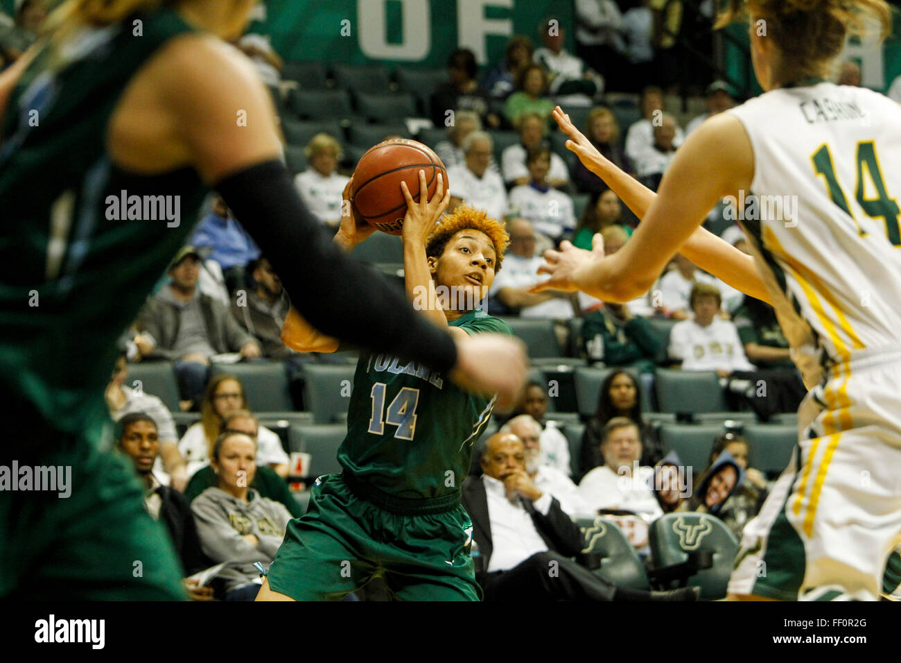 Tampa, Florida, USA. 9th Feb, 2016. WILL VRAGOVIC | Times.Tulane Green ...