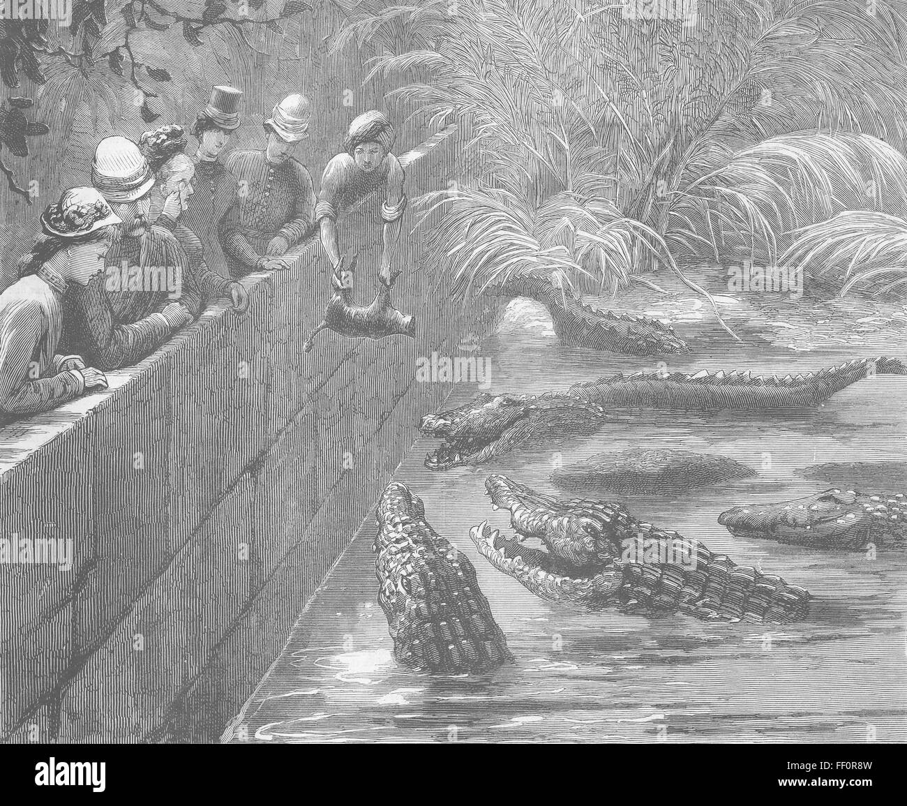 INDIA Feeding Sacred alligators, Muggur Talao, Sindh 1878. The Graphic ...