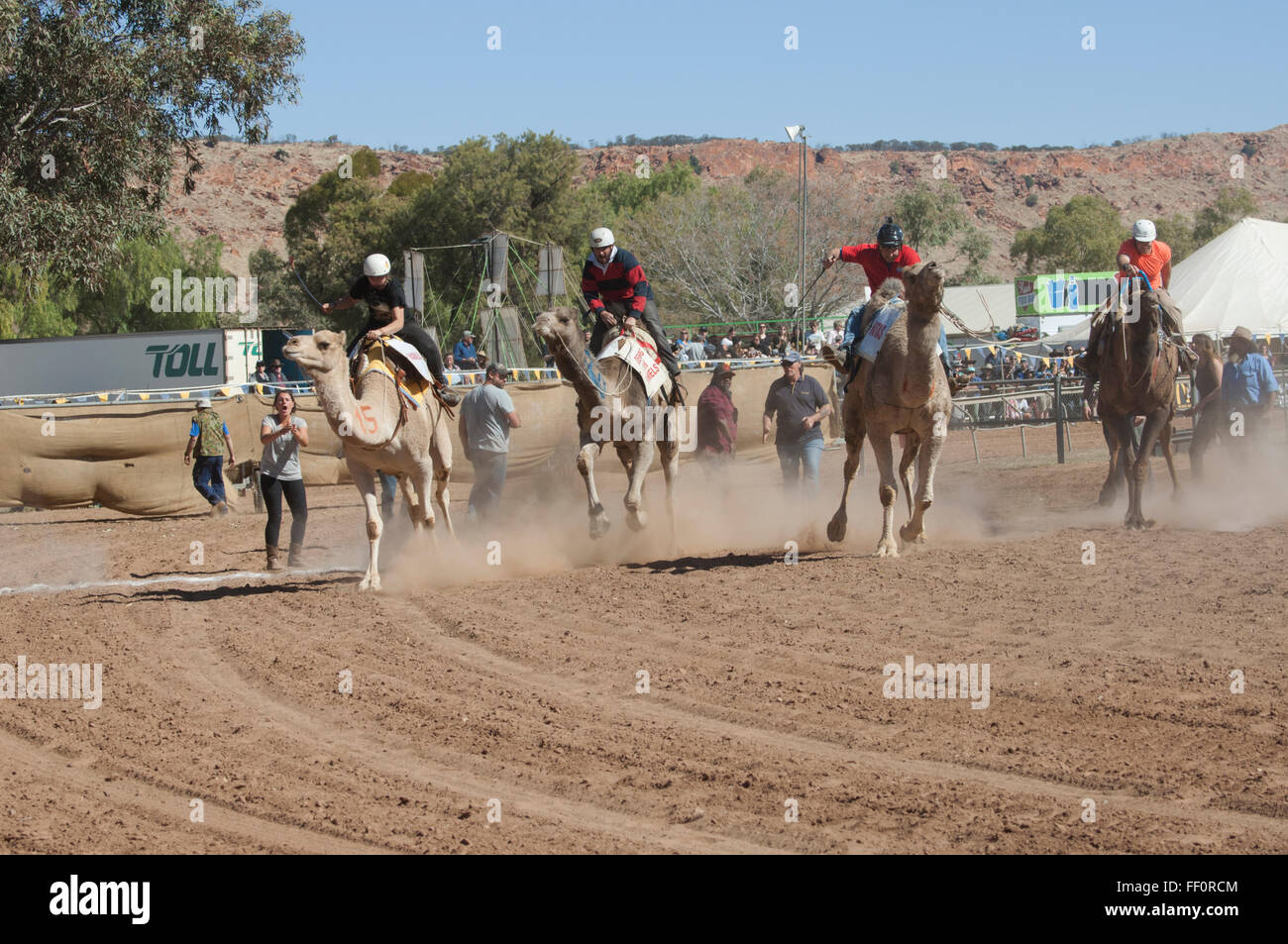 2015 Camel Cup, Alice Springs, Northern Territory, Australia Stock ...