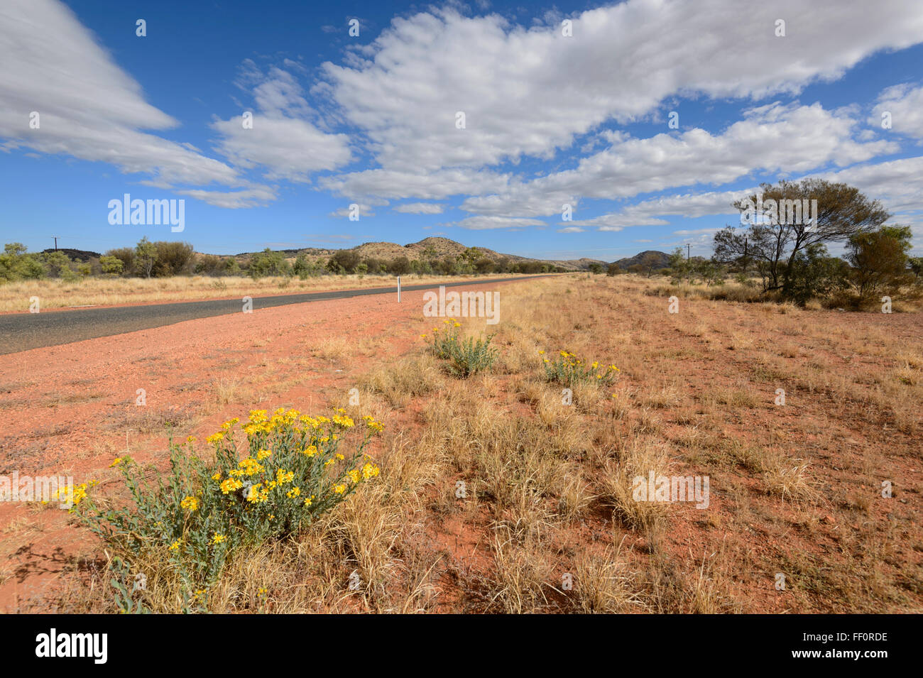 Bush near Alice Springs, Northern Territory, Australia Stock Photo - Alamy