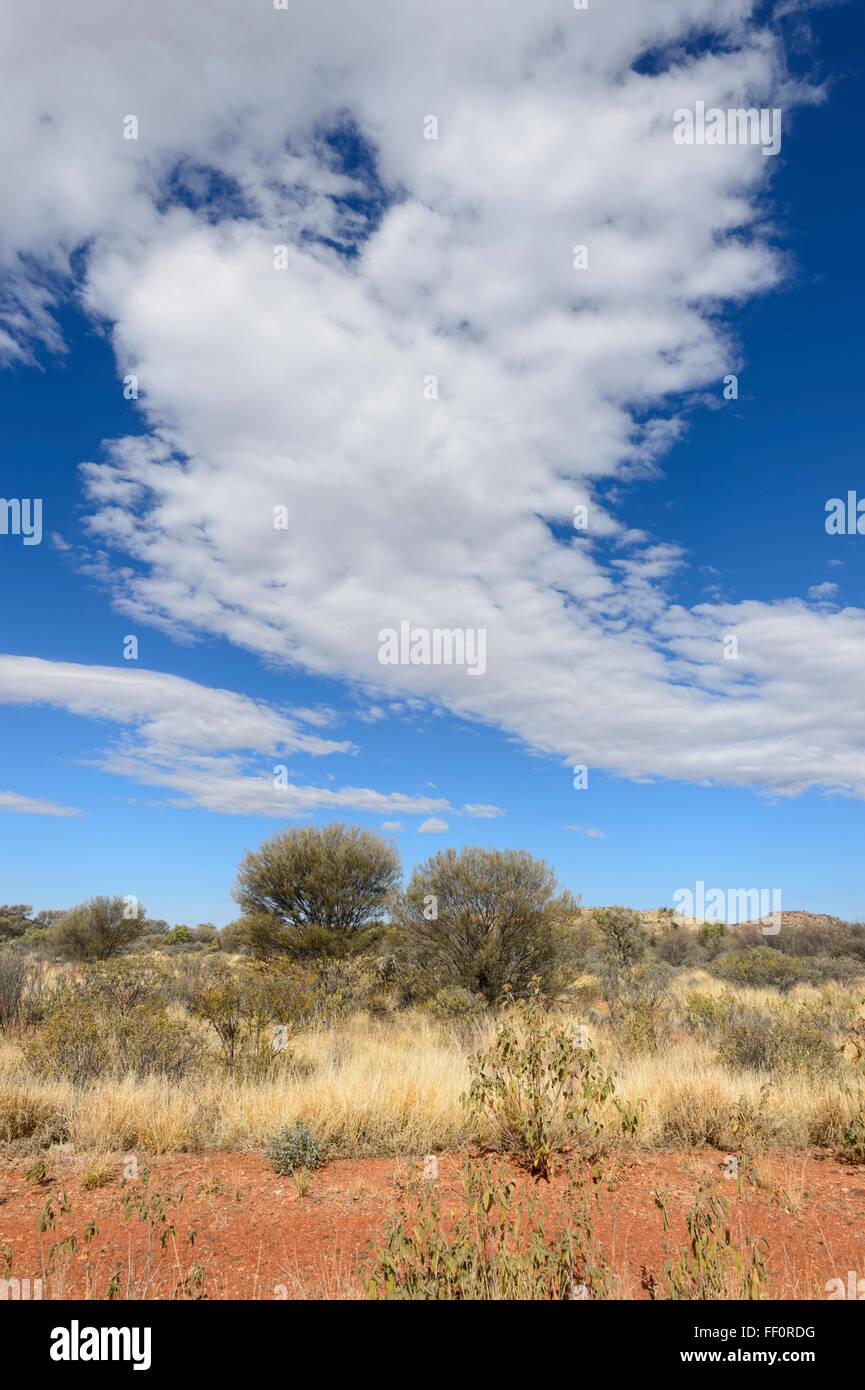 Tanami road australia hi-res stock photography and images - Alamy