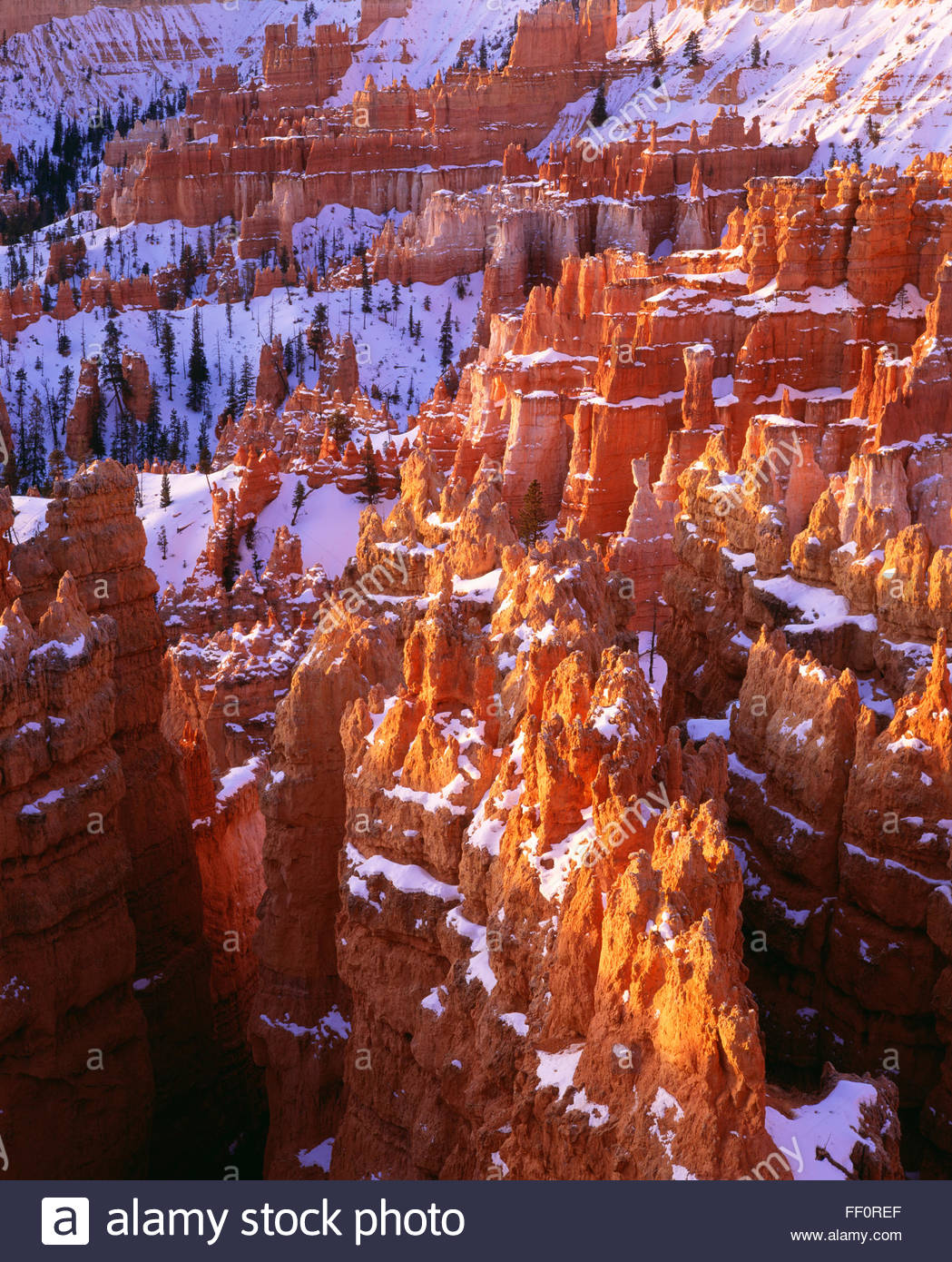 In Bryce Amphitheater Bryce Canyon High Resolution Stock Photography ...