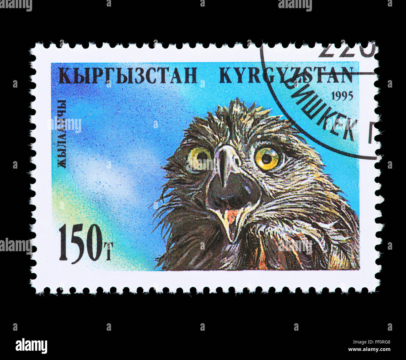 Postage stamp from Kyrgyzstan depicting a raptor Stock Photo - Alamy