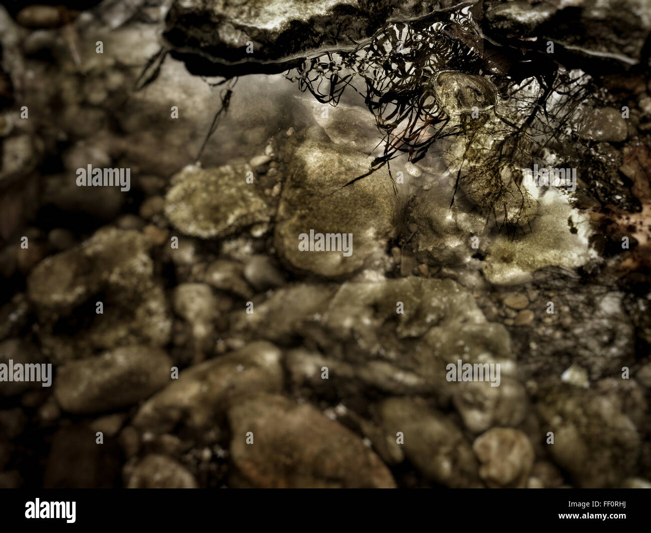 Dark image hi-res stock photography and images - Alamy