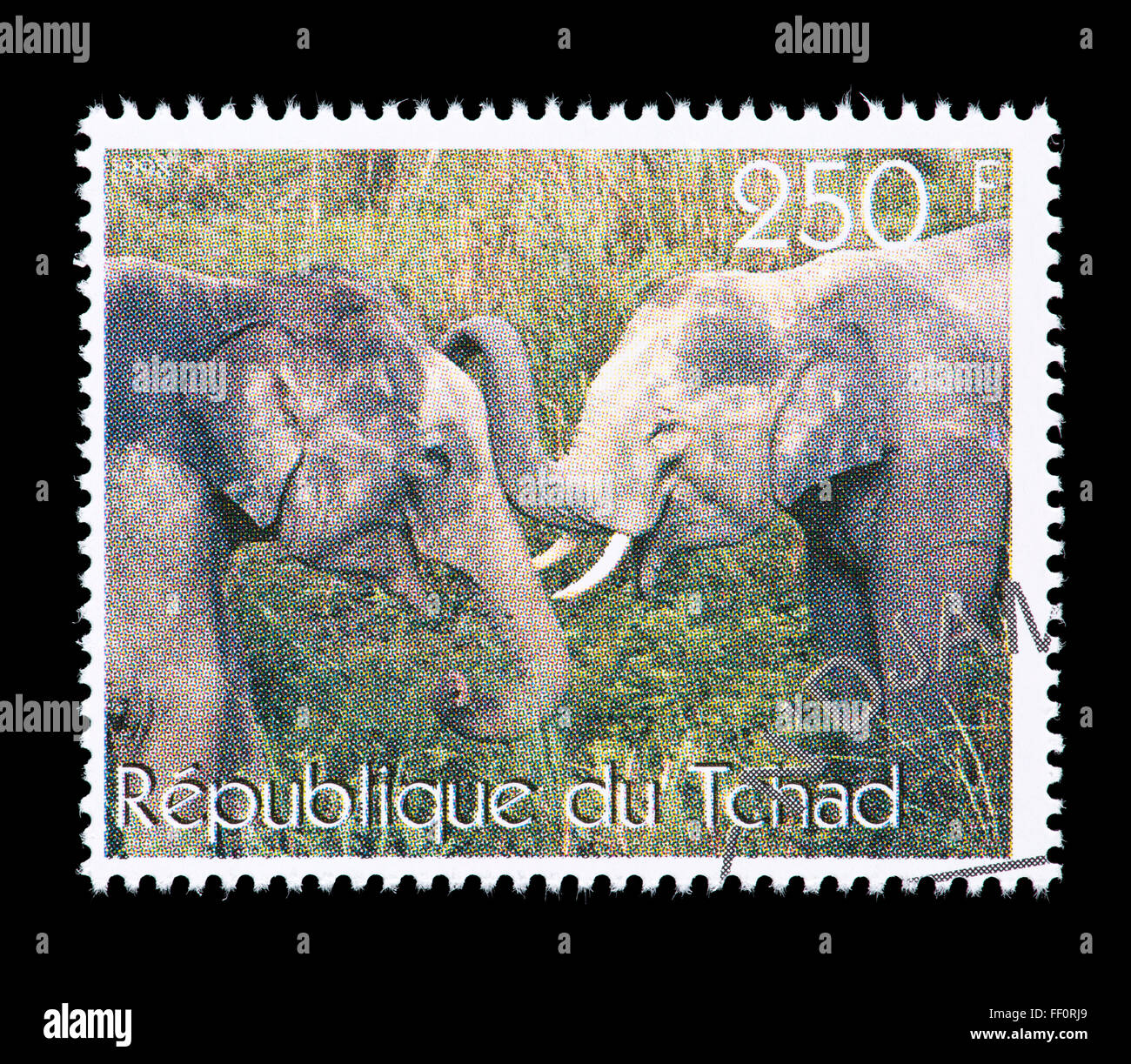 postage stamp from Chad depicting two African elephants Stock Photo - Alamy