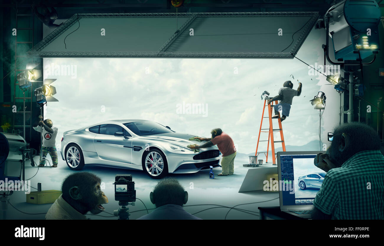 Monkey washing car hi-res stock photography and images - Alamy