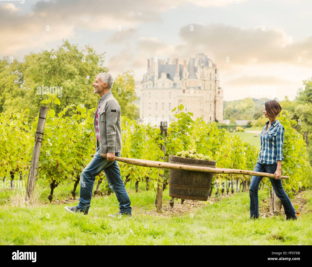Men carrying grape hi-res stock photography and images - Alamy