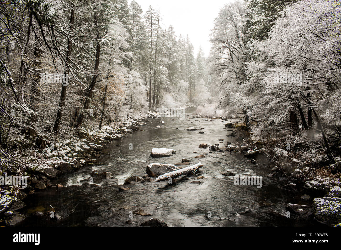 Stream flowing in snowy forest Stock Photo - Alamy