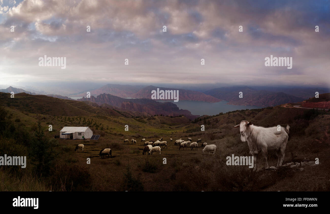 Remote Hill Farm High Resolution Stock Photography and Images - Alamy